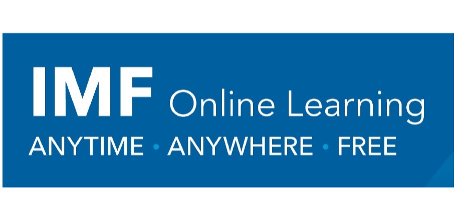 Home [www.imfsti.org]